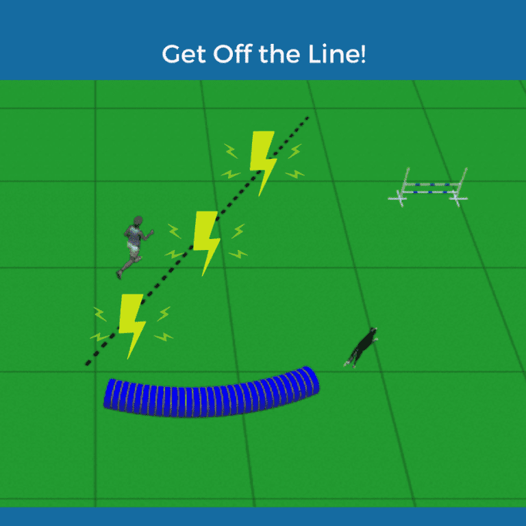 Dog Agility Distance: 10 Dog Agility Distance Seminar Takeaways